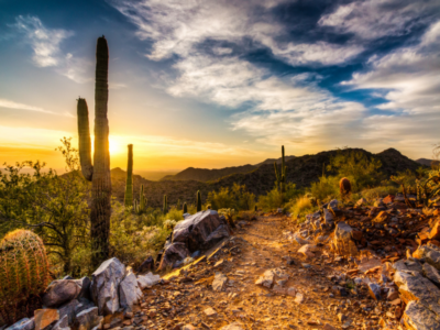 QuickStart Ignition Interlock